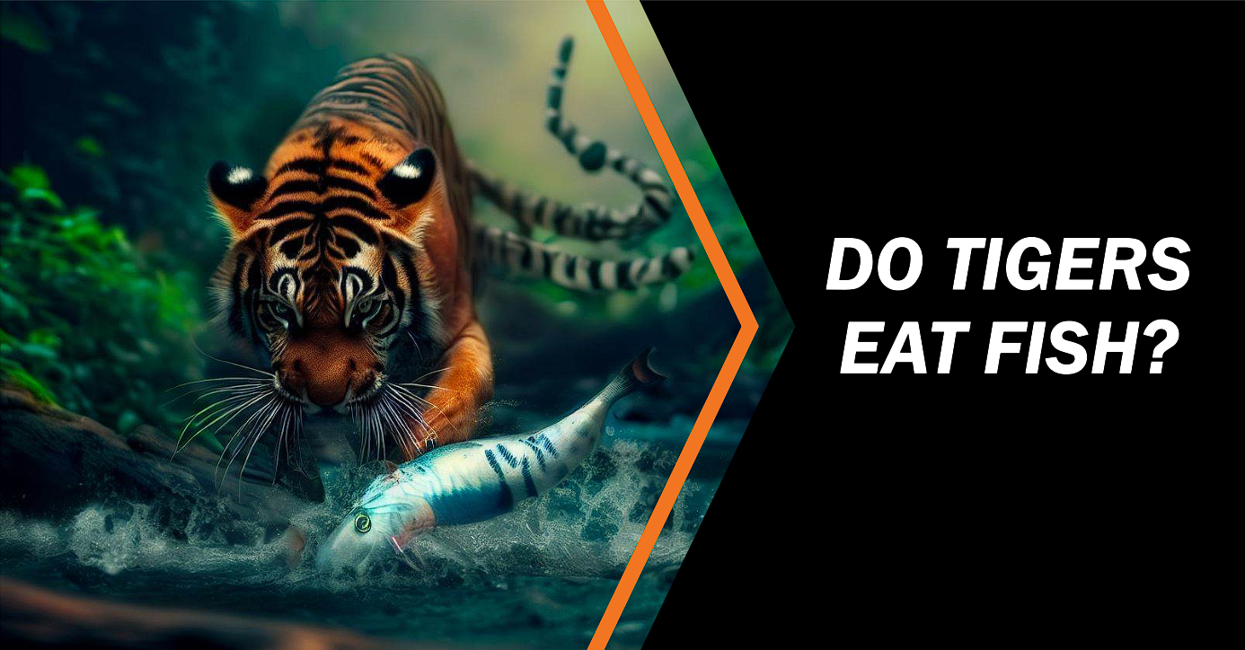 Uncovered: Does Tiger Eat Fish? Exploring Feline Diets - Tiger-Universe