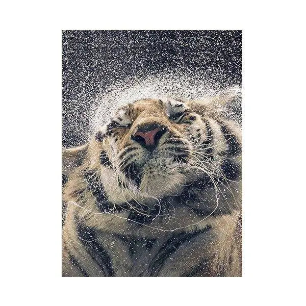 A Tiger in The Rain Painting | Tiger-Universe
